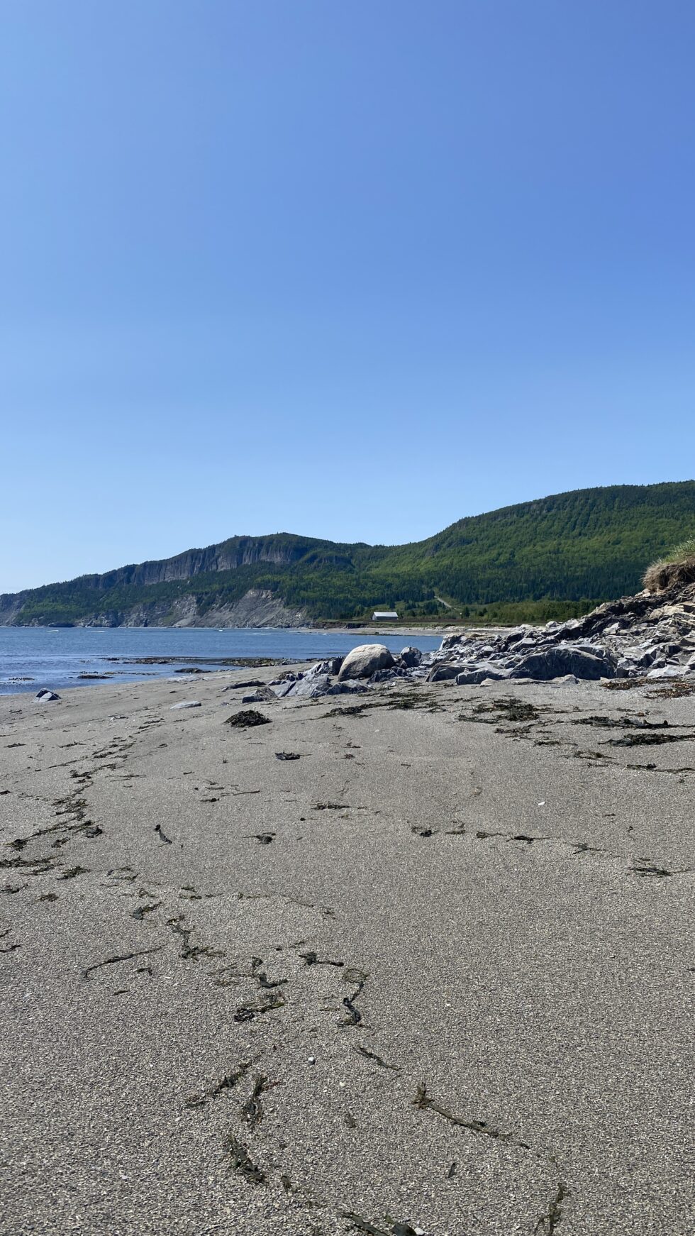 L'art de ne rien faire et invitation - Alexandra Leduc santé et ...